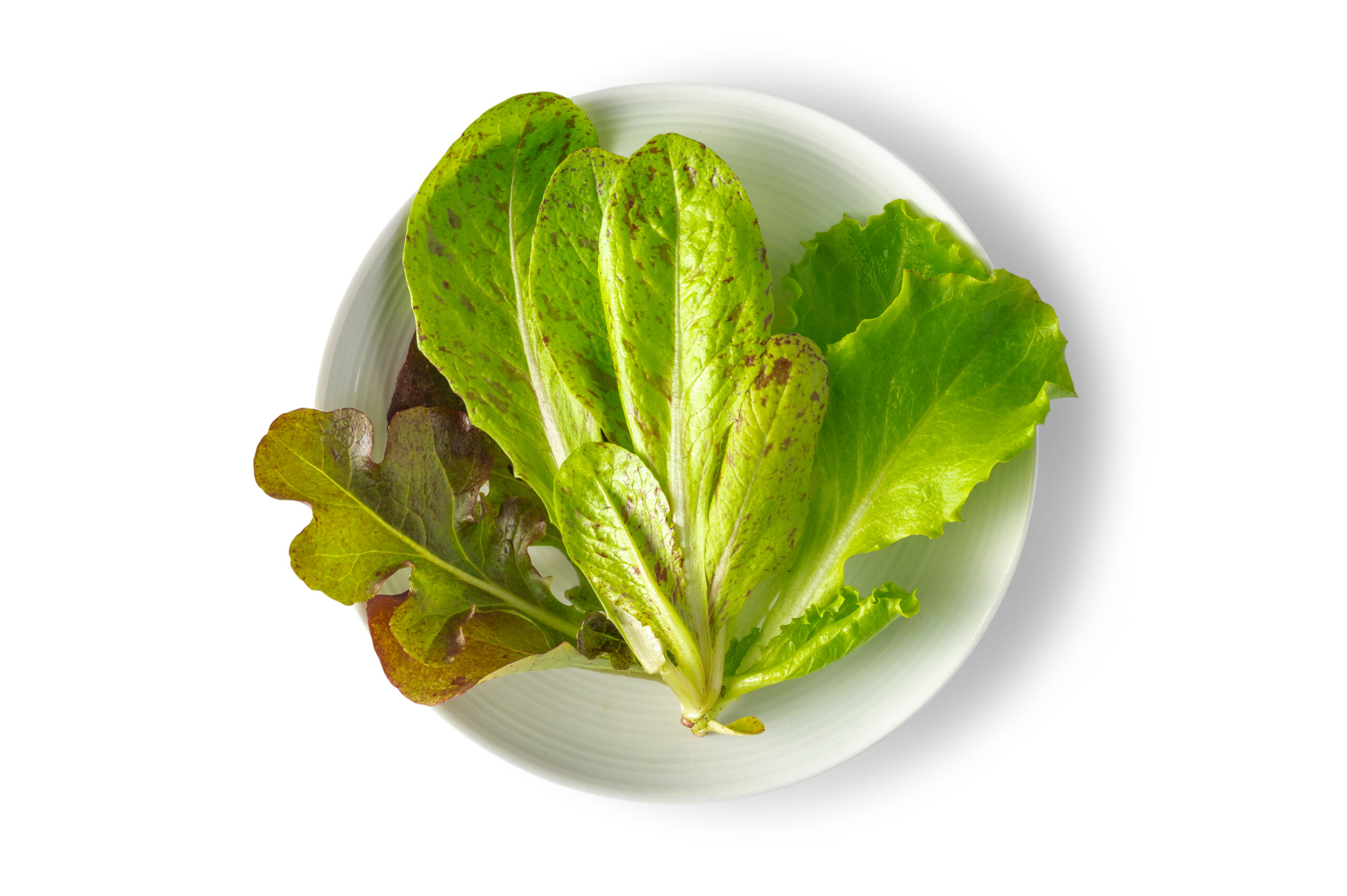 Mini Crown™ Lettuce Mix - Fresh Origins