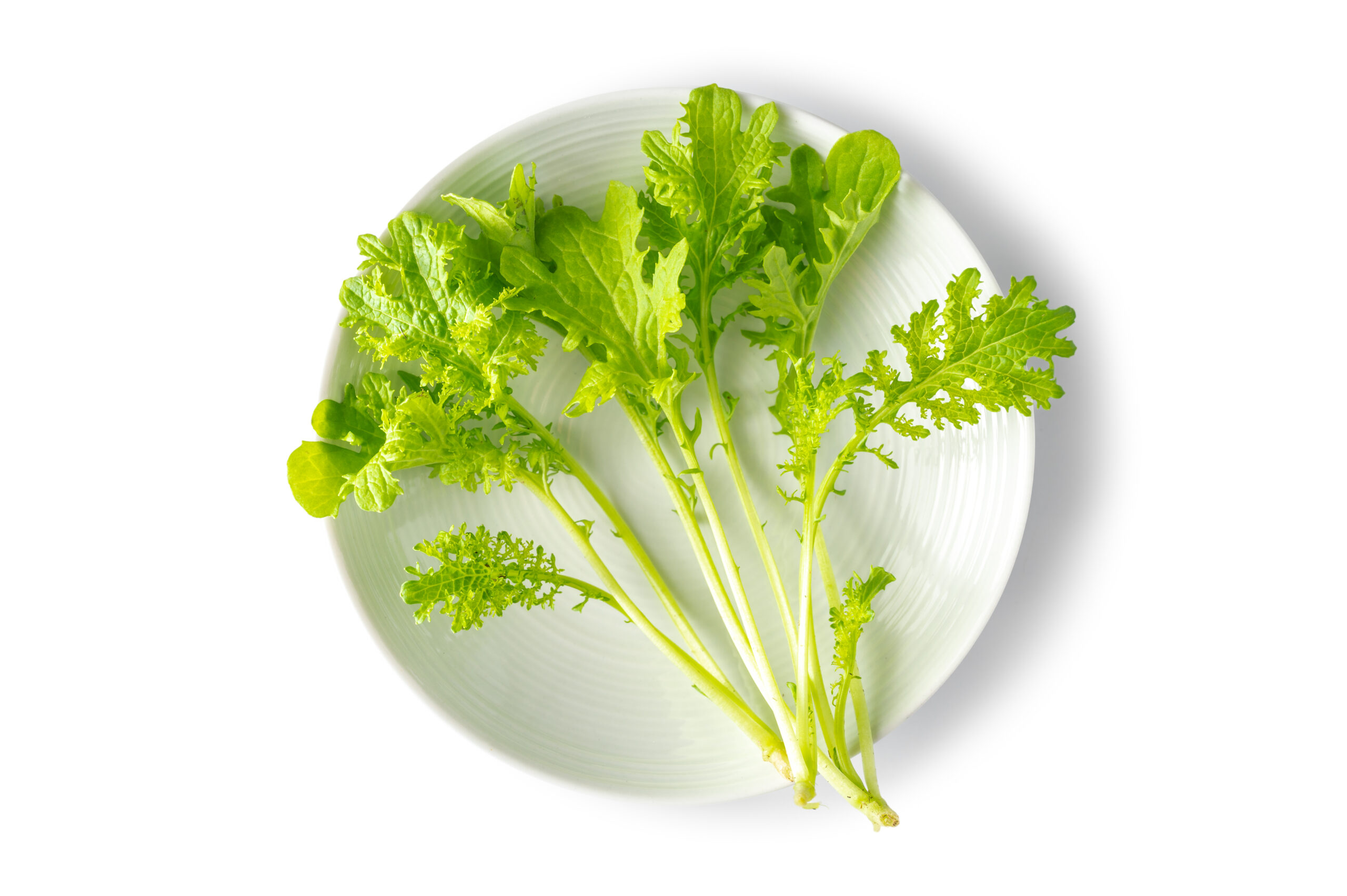 Mini Crown™ Mustard Green Frill - Fresh Origins