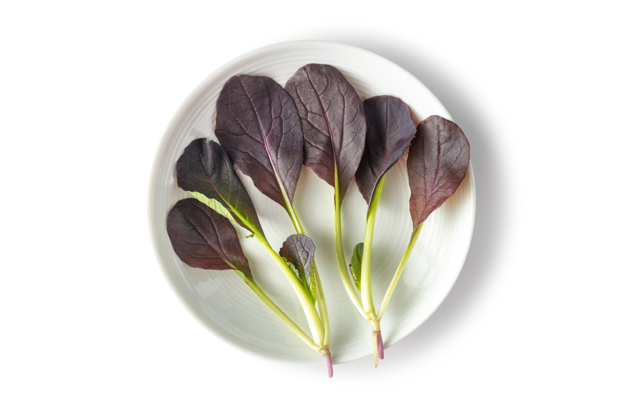 Mini Crown™ Pak Choi Red - Fresh Origins