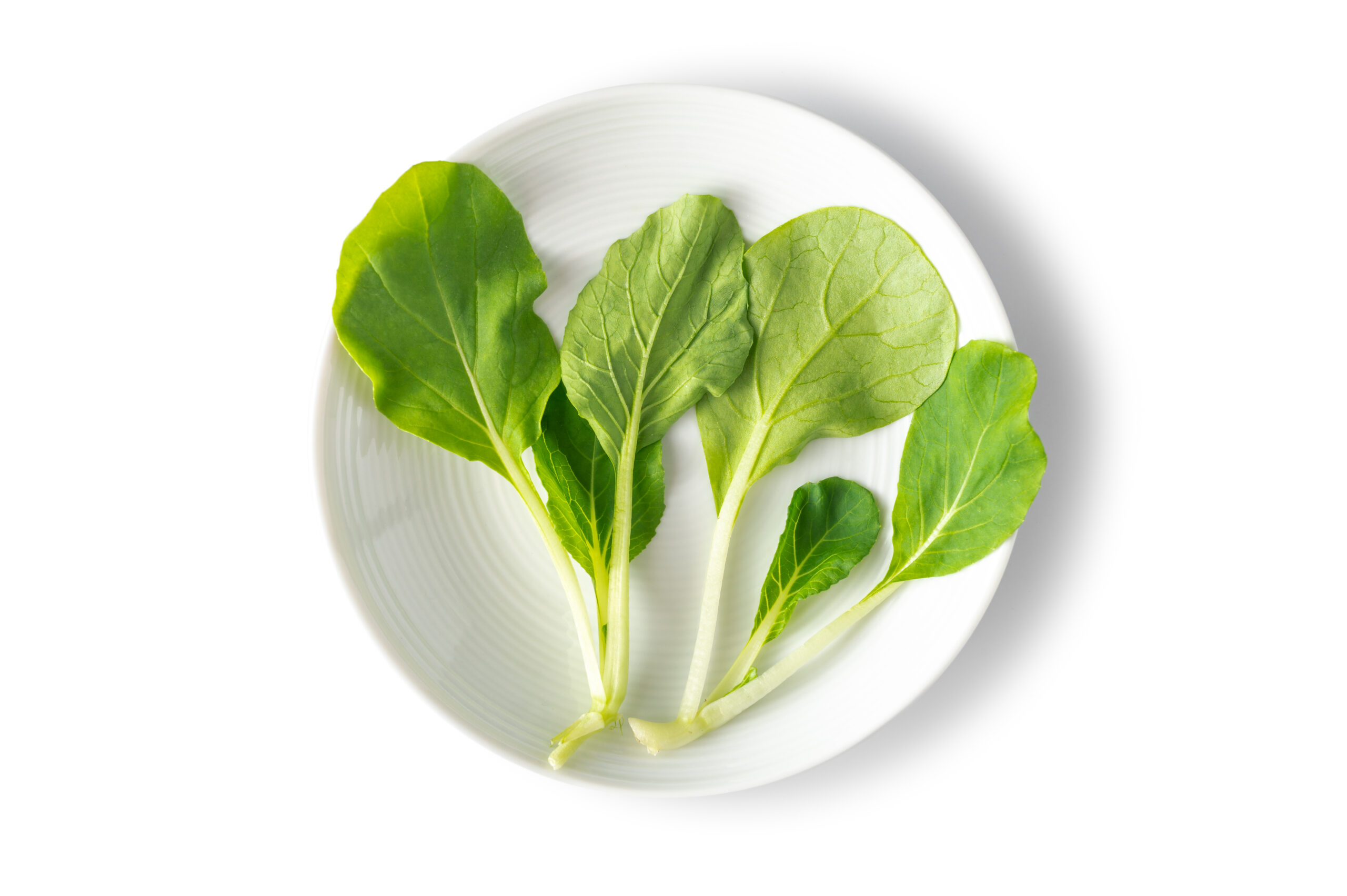 Mini Crown™ Pak Choi White - Fresh Origins
