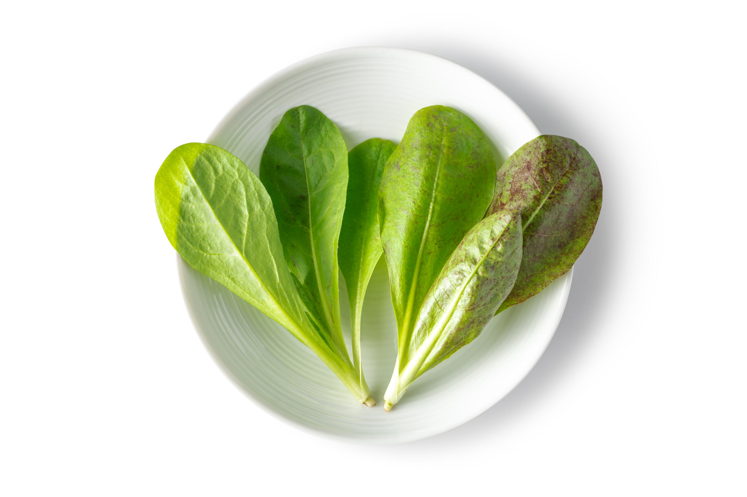 Mini Crown™ Radicchio - Fresh Origins