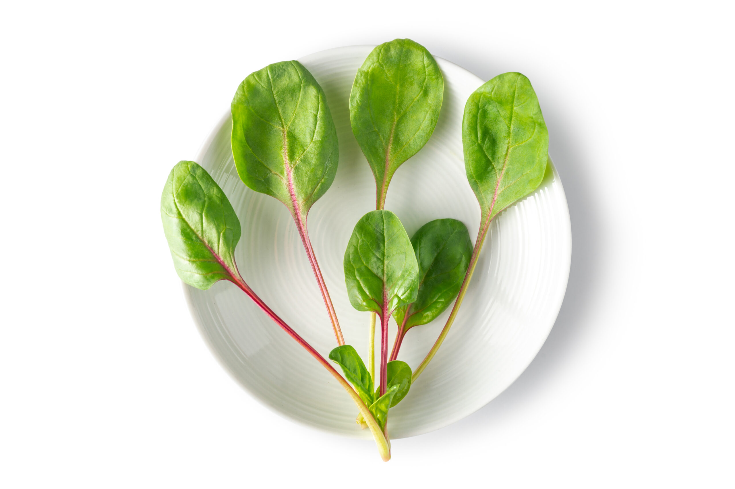 Mini Crown™ Spinach Red™ - Fresh Origins