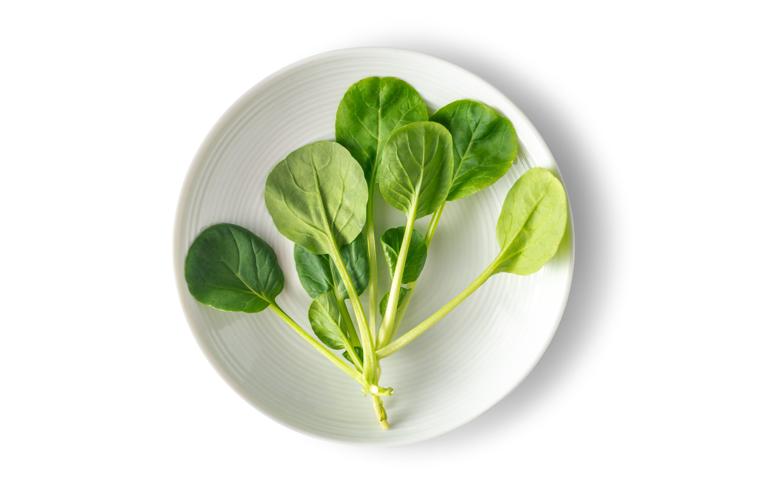 Mini Crown™ Tatsoi - Fresh Origins