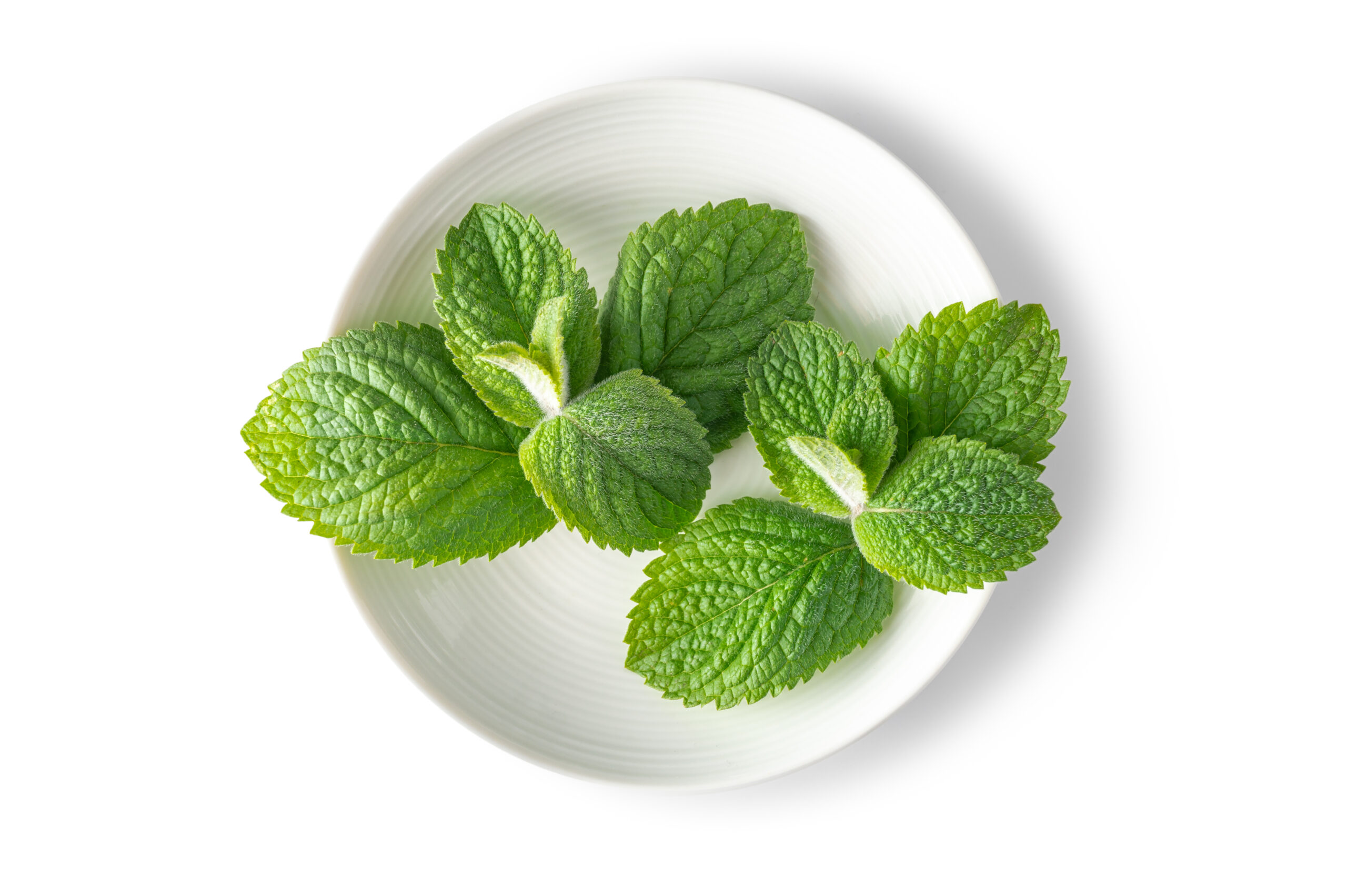 Mint Apple Tops - Fresh Origins