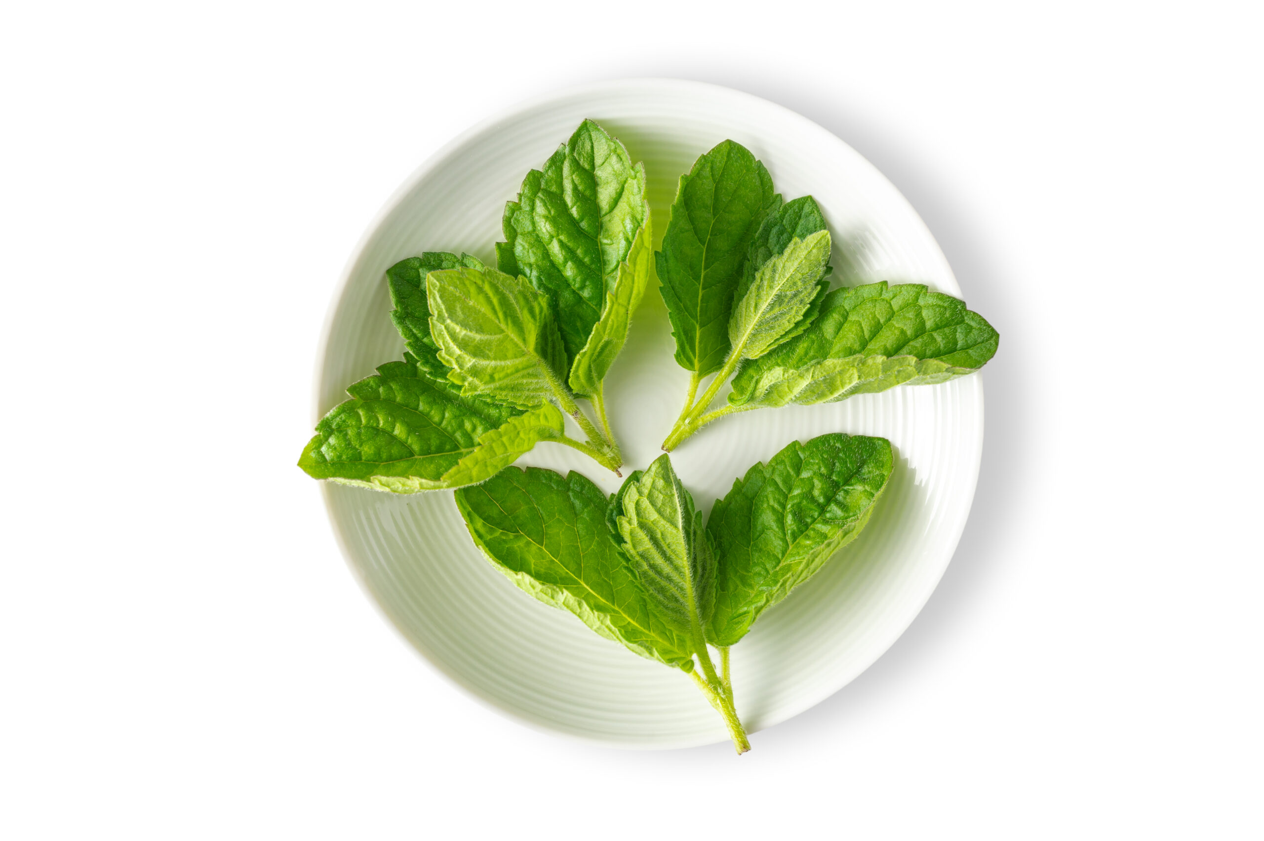 Mint Banana Tops - Fresh Origins