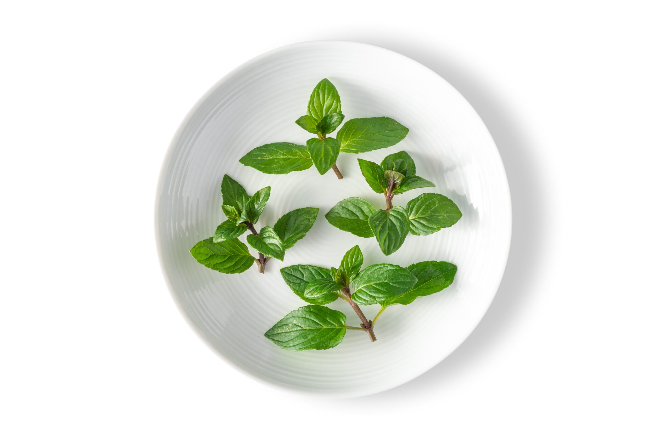 Mint Chocolate Tops - Fresh Origins