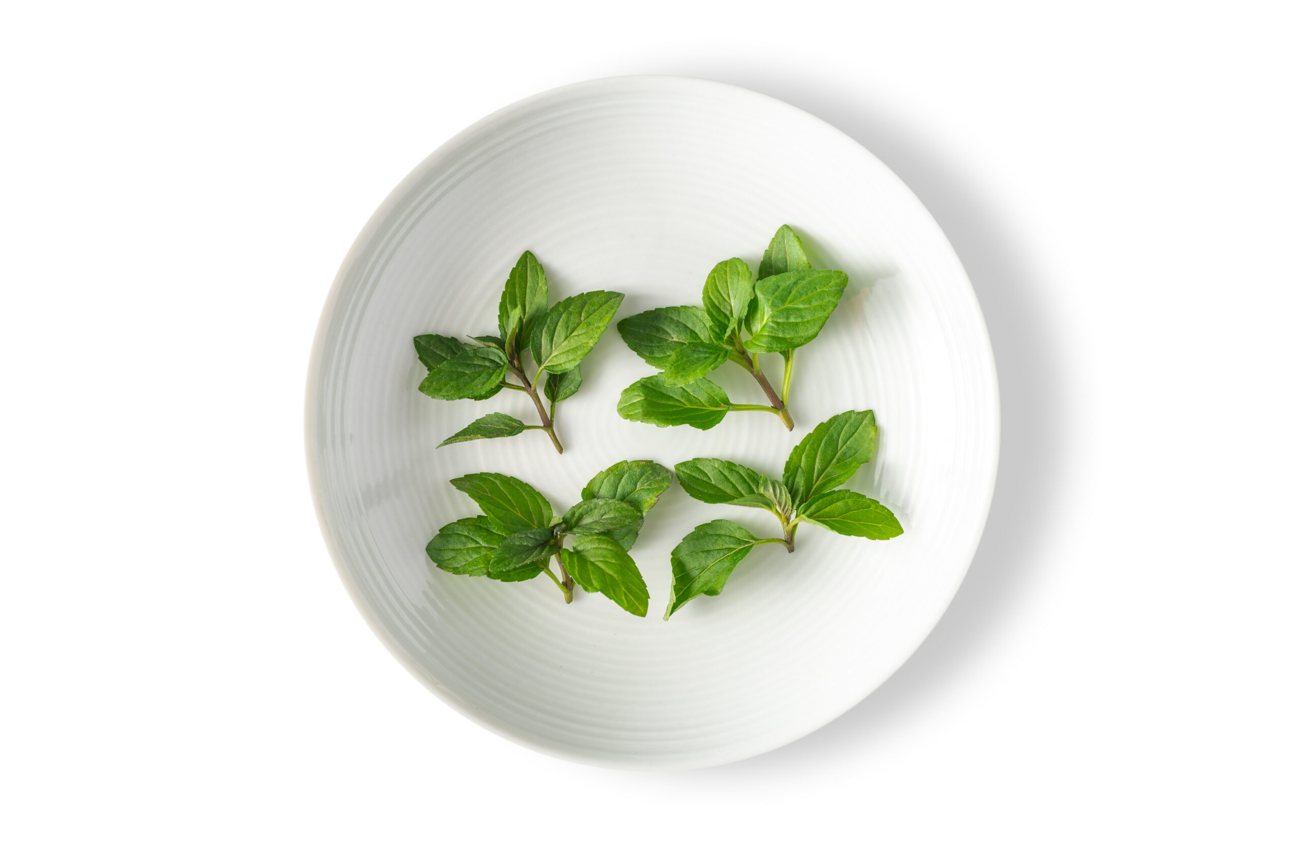 Mint Peppermint Tops - Fresh Origins