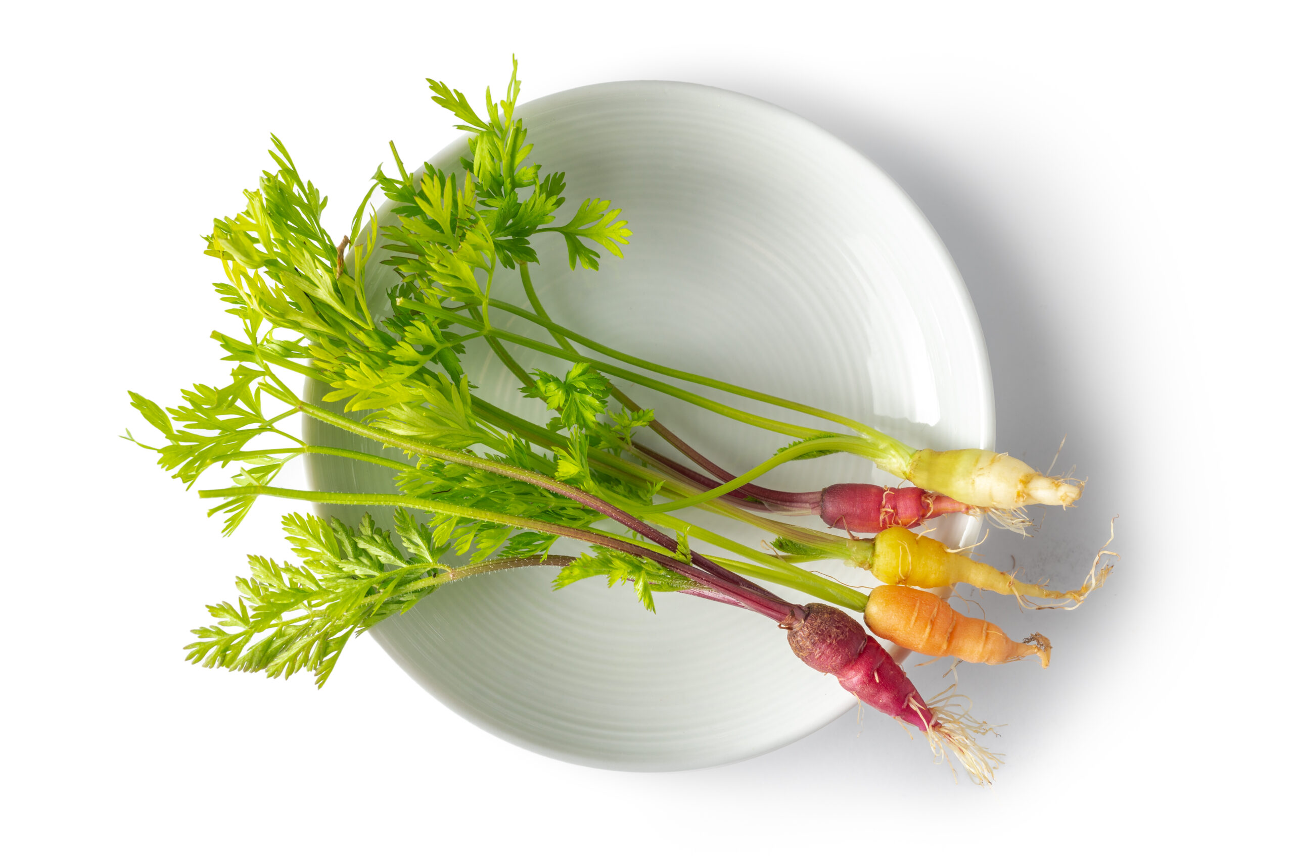 Tiny Veggies™ Carrot Mix - Fresh Origins