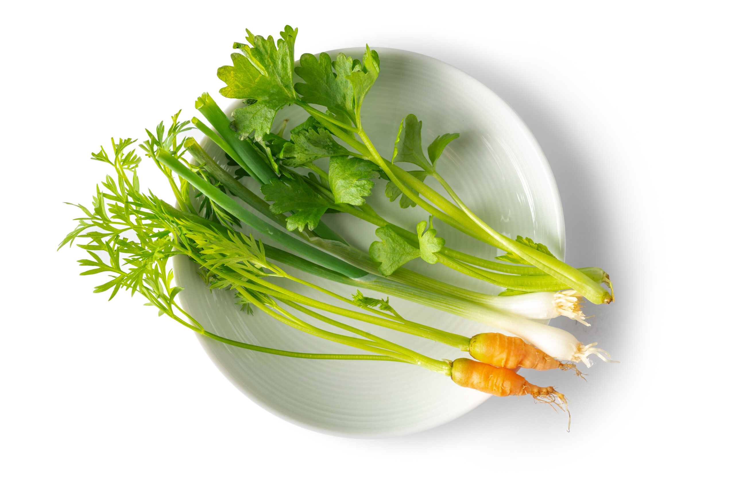 Tiny Veggies™ Mirepoix Mix™ - Fresh Origins