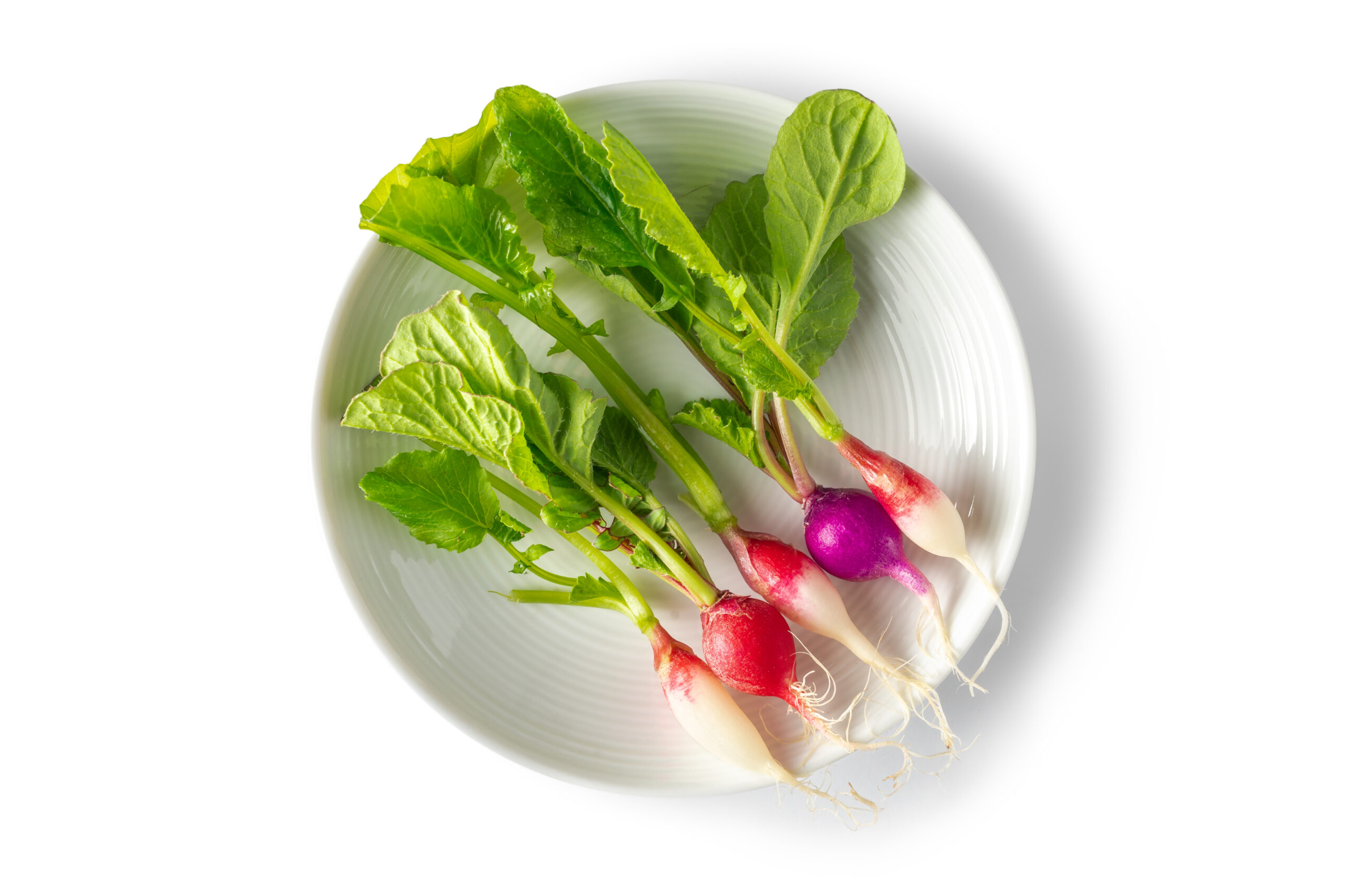Little Veggies™ Radish Mix - Fresh Origins