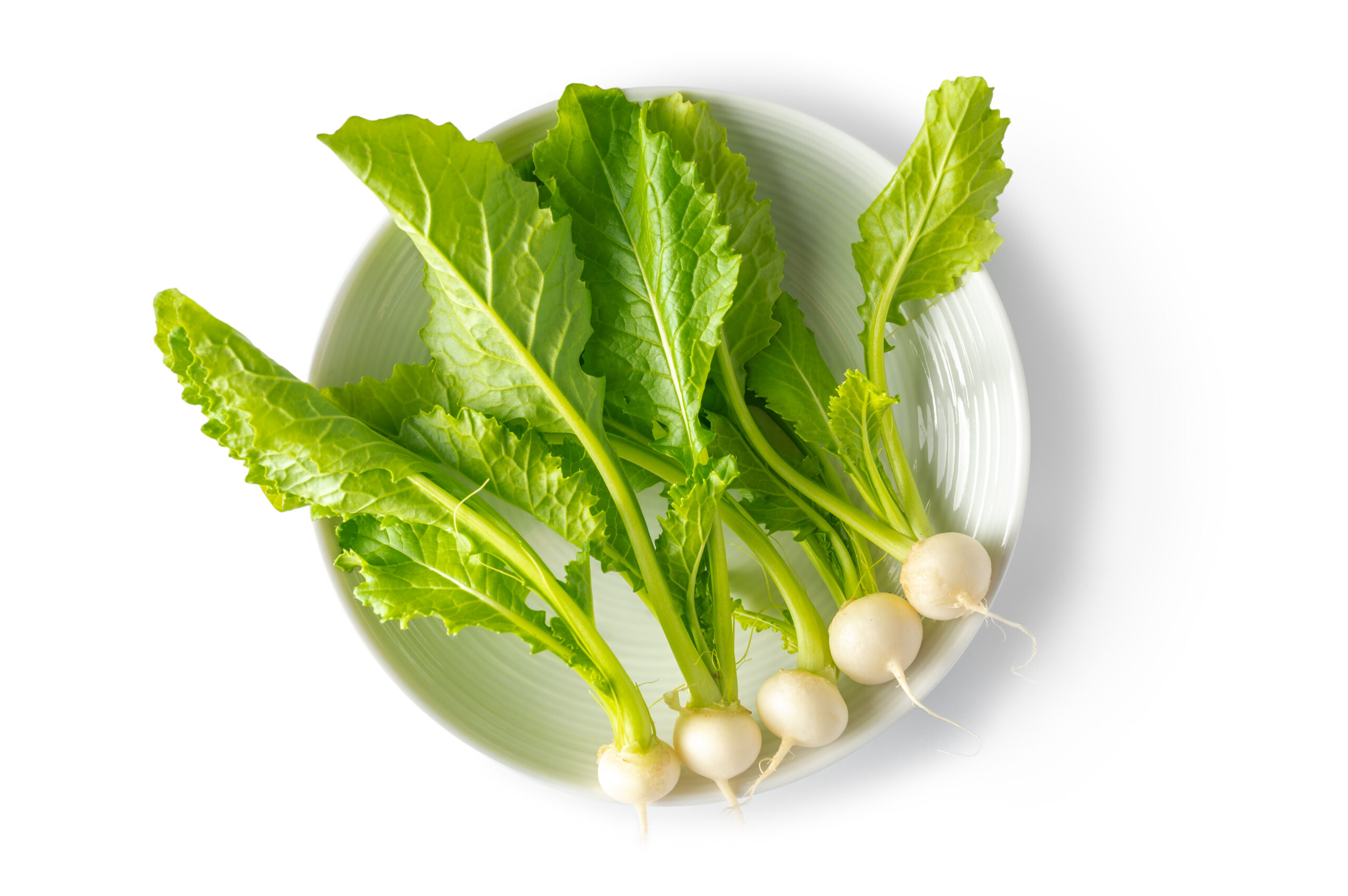 Tiny Veggies™ Turnip White - Fresh Origins