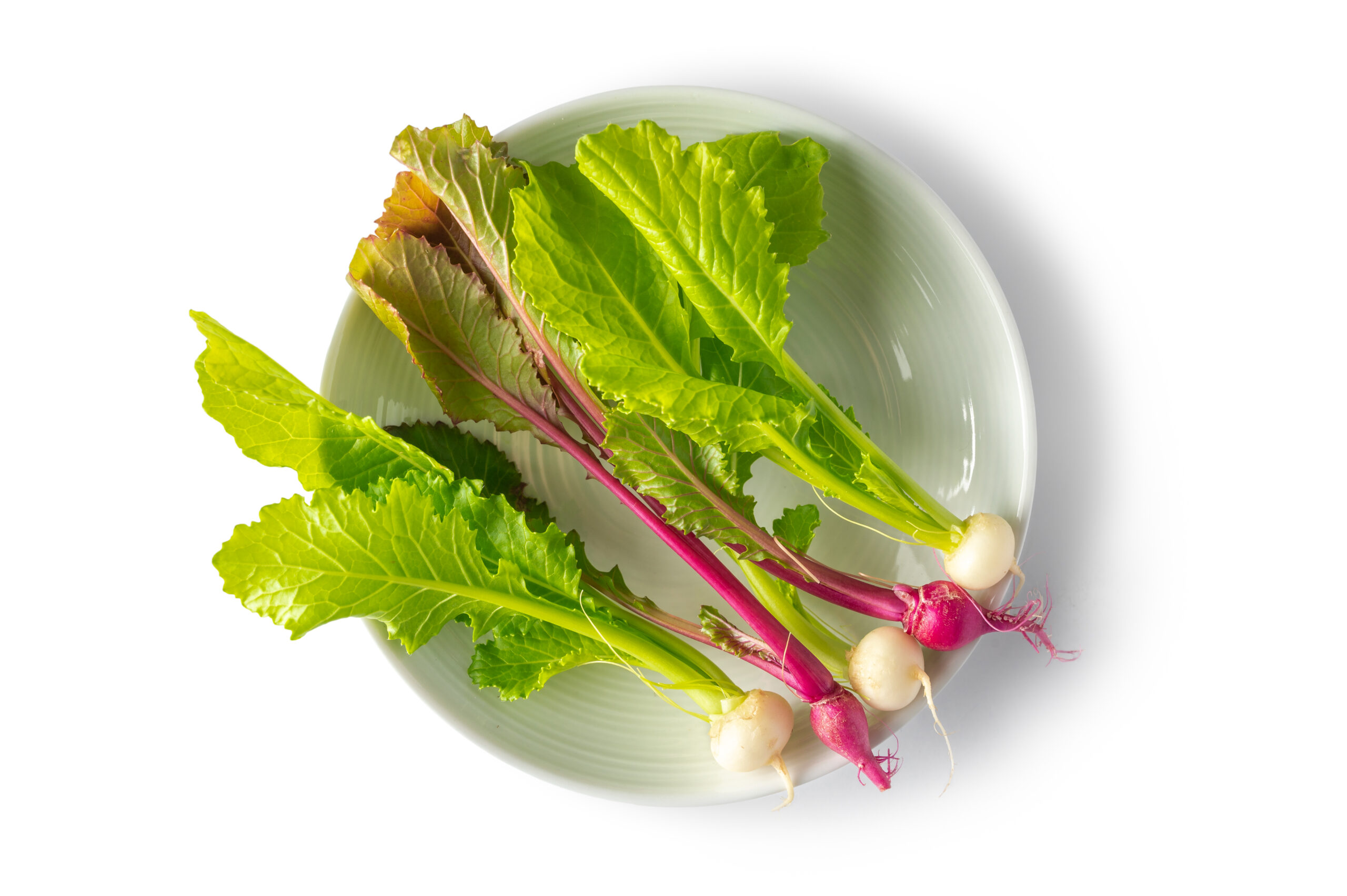 Tiny Veggies™ Turnip Mix - Fresh Origins