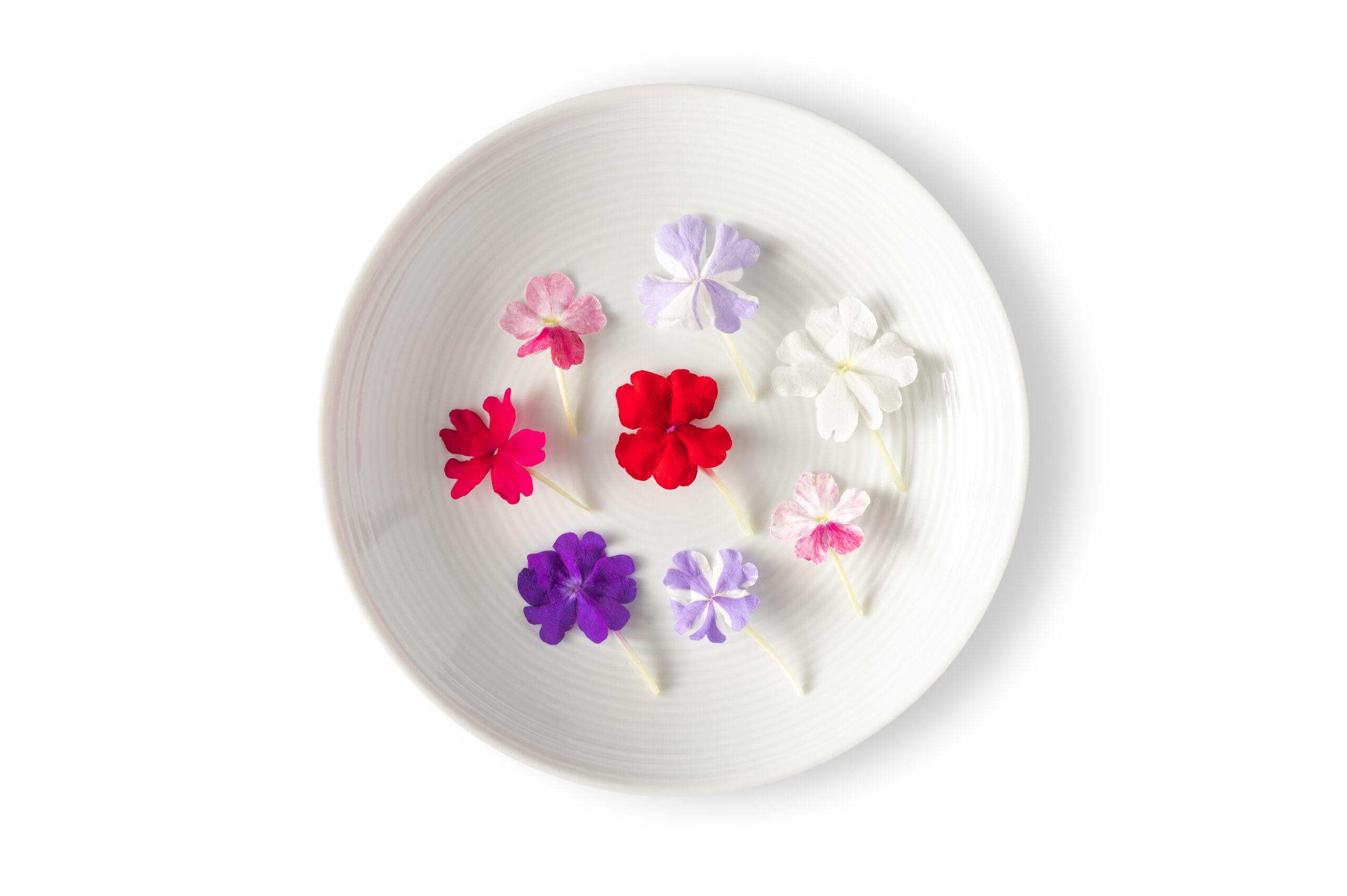 Micro Verbena Mix™ - Fresh Origins